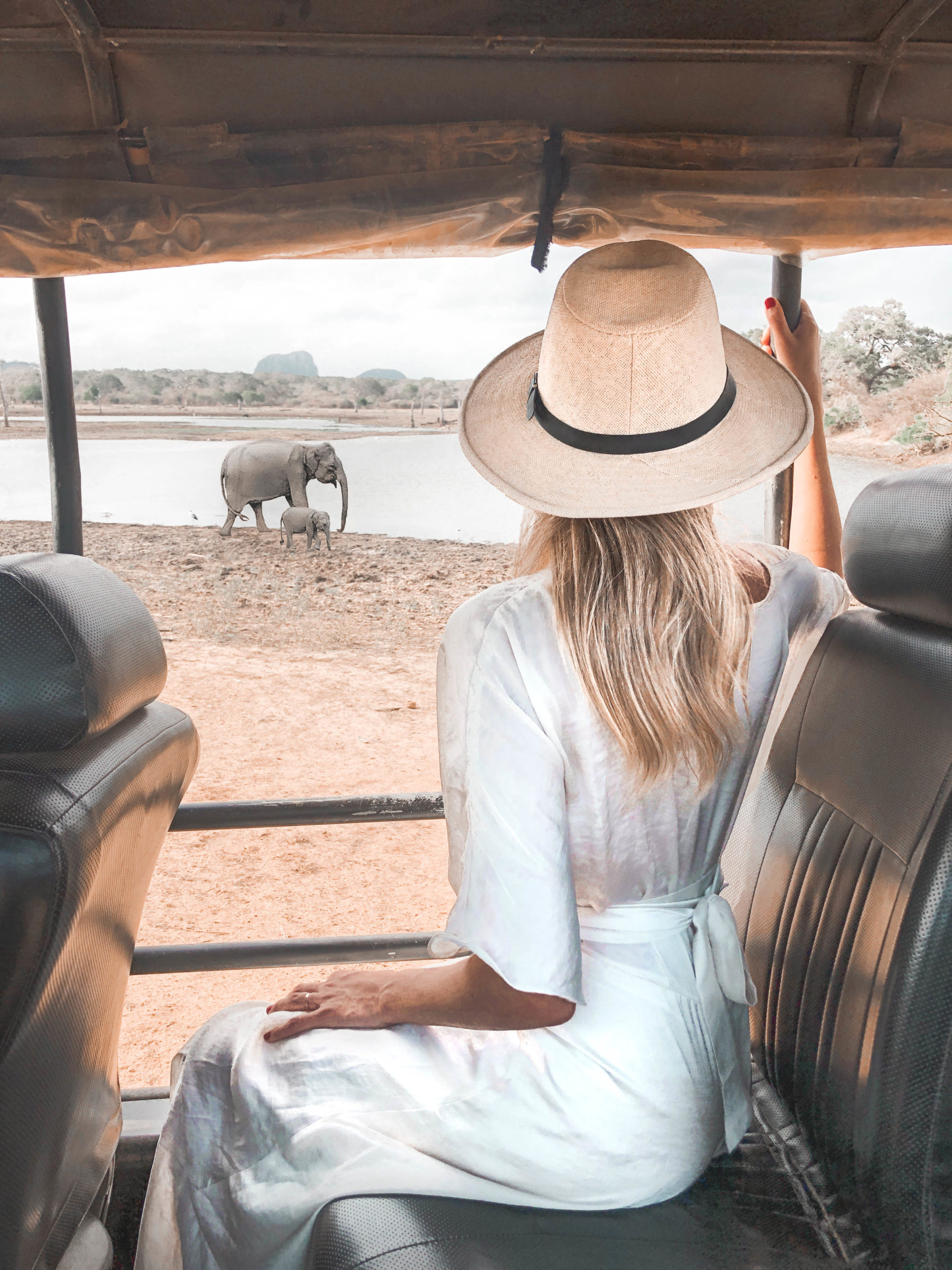 The Sanctuary Yala - The Ultimate Yala National Park Safari Camp ...